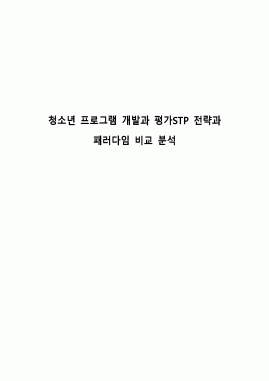 청소년 프로그램 개발과 평가STP 전략과 패러다임 비교 분석-1페이지