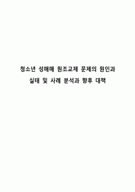 청소년 성매매 원조교제 문제의 원인과 실태 및 사례 분석과 향후 대책-1페이지
