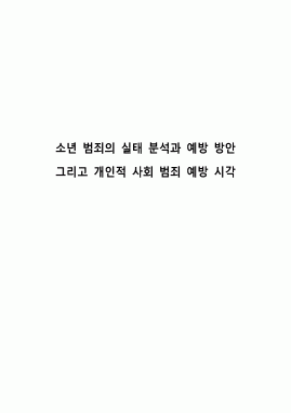 소년 범죄의 실태 분석과 예방 방안 그리고 개인적 사회 범죄 예방 시각-1페이지