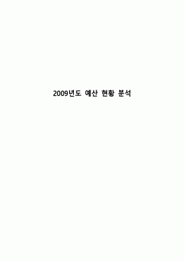 2009년도 예산 현황 분석-1페이지
