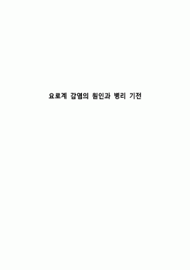 요로계 감염의 원인과 병리 기전-1페이지