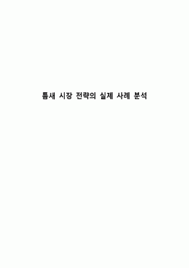 틈새 시장 전략의 실제 사례 분석-1페이지