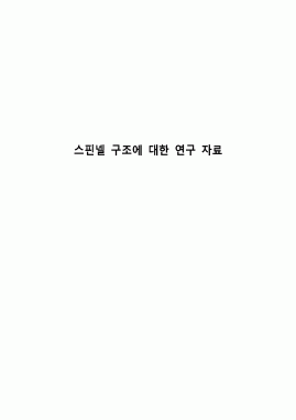 스핀넬 구조에 대한 연구 자료-1페이지