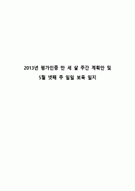 2013년 평가인증 만 세 살 주간 계획안 및 5월 넷째 주 일일 보육 일지-1페이지