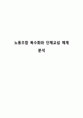 노동조합 복수화와 단체교섭 체계 분석-1페이지