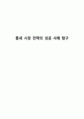 틈새 시장 전략의 성공 사례 탐구-1페이지