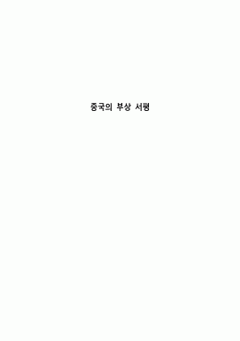 중국의 부상 서평-1페이지