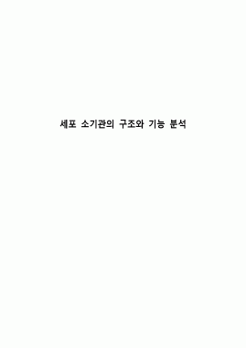 세포 소기관의 구조와 기능 분석-1페이지