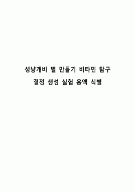 성냥개비 별 만들기 비타민 탐구 결정 생성 실험 용액 식별-1페이지