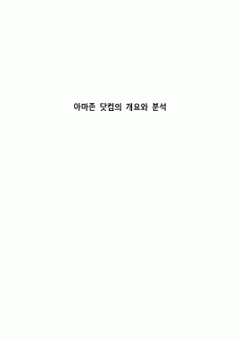 아마존 닷컴의 개요와 분석-1페이지