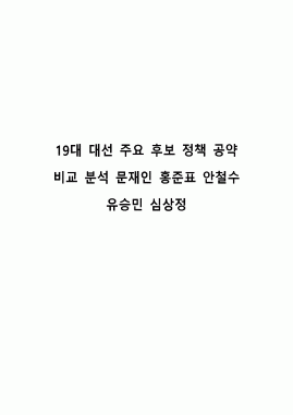 19대 대선 주요 후보 정책 공약 비교 분석 문재인 홍준표 안철수 유승민 심상정-1페이지