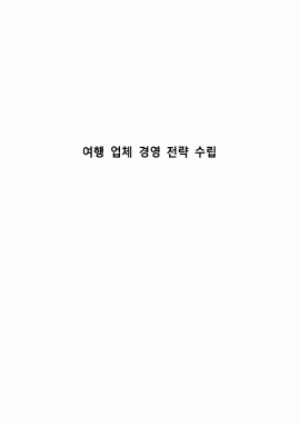 여행 업체 경영 전략 수립-1페이지