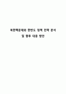 북한핵문제와 한반도 정책 전략 분석 및 향후 대응 방안-1페이지