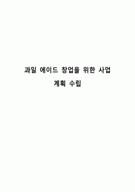 과일 에이드 창업을 위한 사업 계획 수립-1페이지