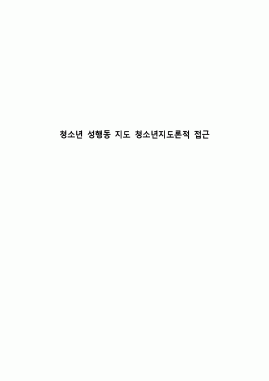 청소년 성행동 지도 청소년지도론적 접근-1페이지