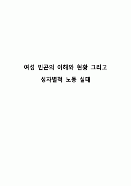 여성 빈곤의 이해와 현황 그리고 성차별적 노동 실태-1페이지