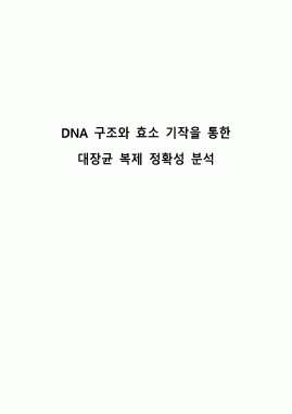 DNA 구조와 효소 기작을 통한 대장균 복제 정확성 분석-1페이지
