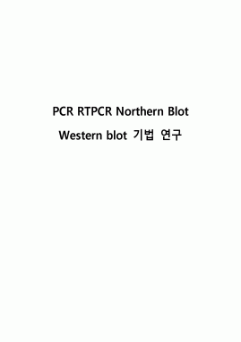 PCR RTPCR Northern Blot Western blot 기법 연구-1페이지