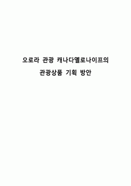 오로라 관광 캐나다옐로나이프의 관광상품 기획 방안-1페이지