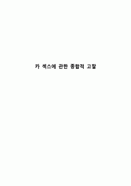 카 섹스에 관한 종합적 고찰-1페이지