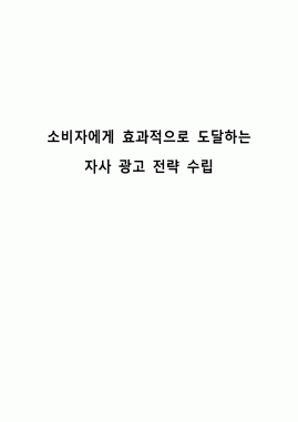 소비자에게 효과적으로 도달하는 자사 광고 전략 수립-1페이지
