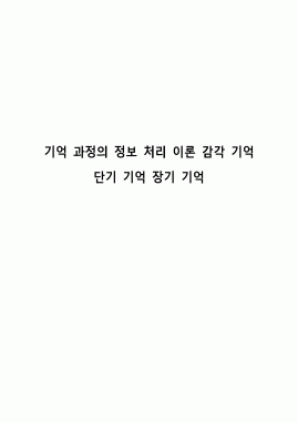 기억 과정의 정보 처리 이론 감각 기억 단기 기억 장기 기억-1페이지