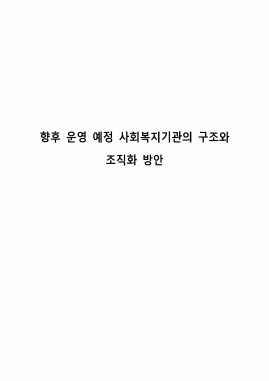 향후 운영 예정 사회복지기관의 구조와 조직화 방안-1페이지