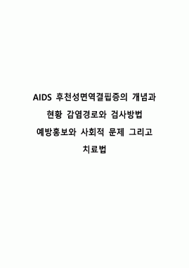 AIDS 후천성면역결핍증의 개념과 현황 감염경로와 검사방법 예방홍보와 사회적 문제 그리고 치료법-1페이지