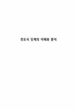 전도식 단계의 이해와 분석-1페이지