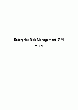 Enterprise Risk Management 분석 보고서-1페이지