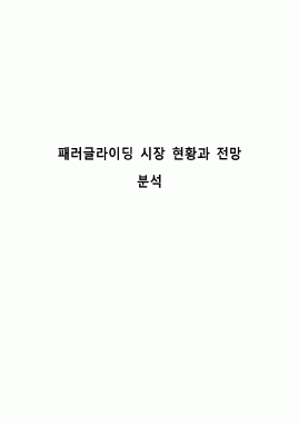 패러글라이딩 시장 현황과 전망 분석-1페이지