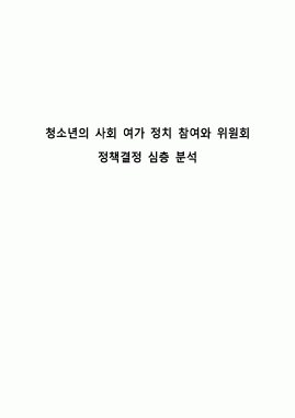 청소년의 사회 여가 정치 참여와 위원회 정책결정 심층 분석-1페이지