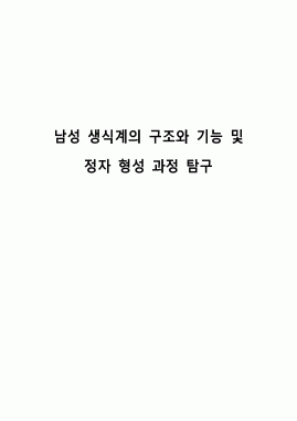 남성 생식계의 구조와 기능 및 정자 형성 과정 탐구-1페이지