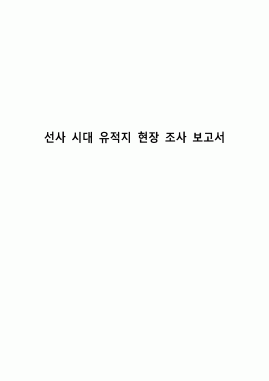 선사 시대 유적지 현장 조사 보고서-1페이지
