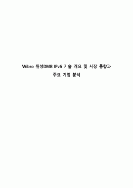 Wibro 위성DMB IPv6 기술 개요 및 시장 동향과 주요 기업 분석-1페이지