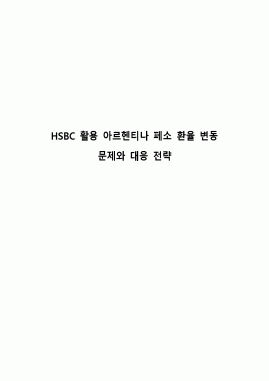 HSBC 활용 아르헨티나 페소 환율 변동 문제와 대응 전략-1페이지