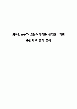 외국인노동자 고용허가제와 산업연수제의 불법체류 문제 분석-1페이지