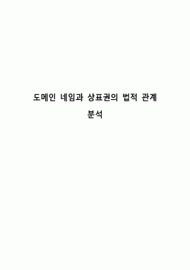 도메인 네임과 상표권의 법적 관계 분석-1페이지