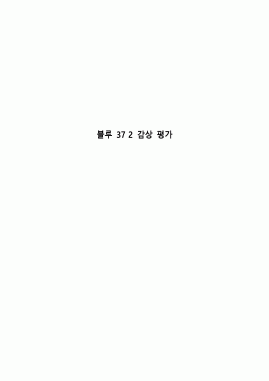 블루 37 2 감상 평가-1페이지