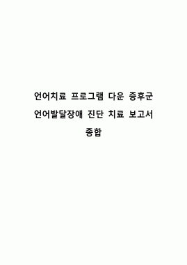 언어치료 프로그램 다운 증후군 언어발달장애 진단 치료 보고서 종합-1페이지