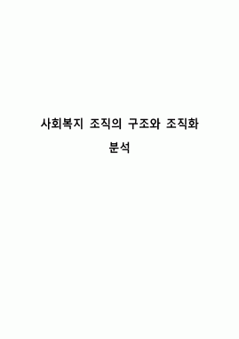 사회복지 조직의 구조와 조직화 분석-1페이지