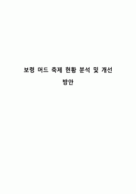 보령 머드 축제 현황 분석 및 개선 방안-1페이지