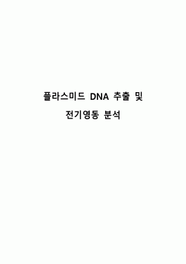 플라스미드 DNA 추출 및 전기영동 분석-1페이지