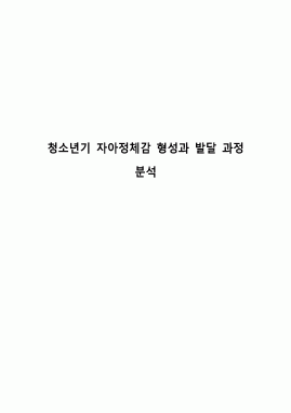 청소년기 자아정체감 형성과 발달 과정 분석-1페이지