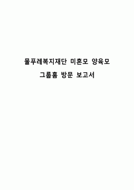 물푸레복지재단 미혼모 양육모 그룹홈 방문 보고서-1페이지