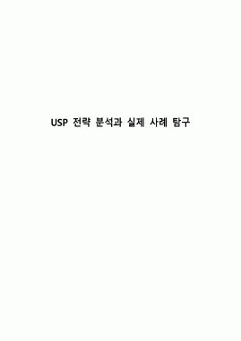 USP 전략 분석과 실제 사례 탐구-1페이지