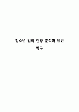 청소년 범죄 현황 분석과 원인 탐구-1페이지