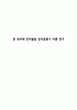 장 피아제 인지발달 감각운동기 이론 연구-1페이지