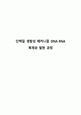 단백질 생합성 메커니즘 DNA RNA 복제와 발현 과정-1페이지