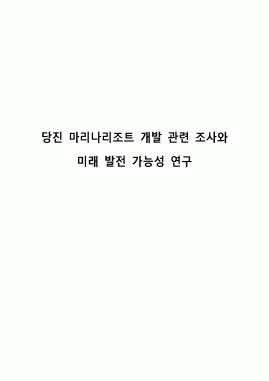 당진 마리나리조트 개발 관련 조사와 미래 발전 가능성 연구-1페이지